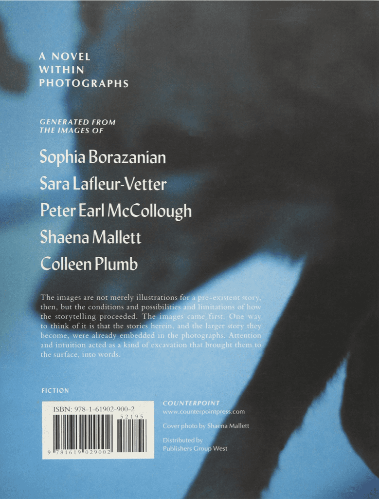 Publications - Colleenplumb